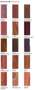 Rosewood From Around the Globe – Woodworkers Source Blog