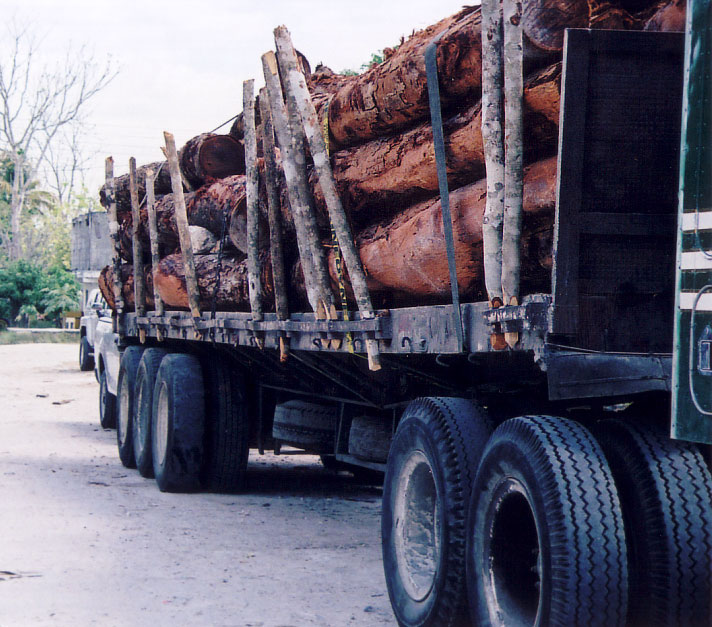 chechem_9 – Woodworkers Source Blog