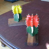 Native ceremonial chanupa pipe